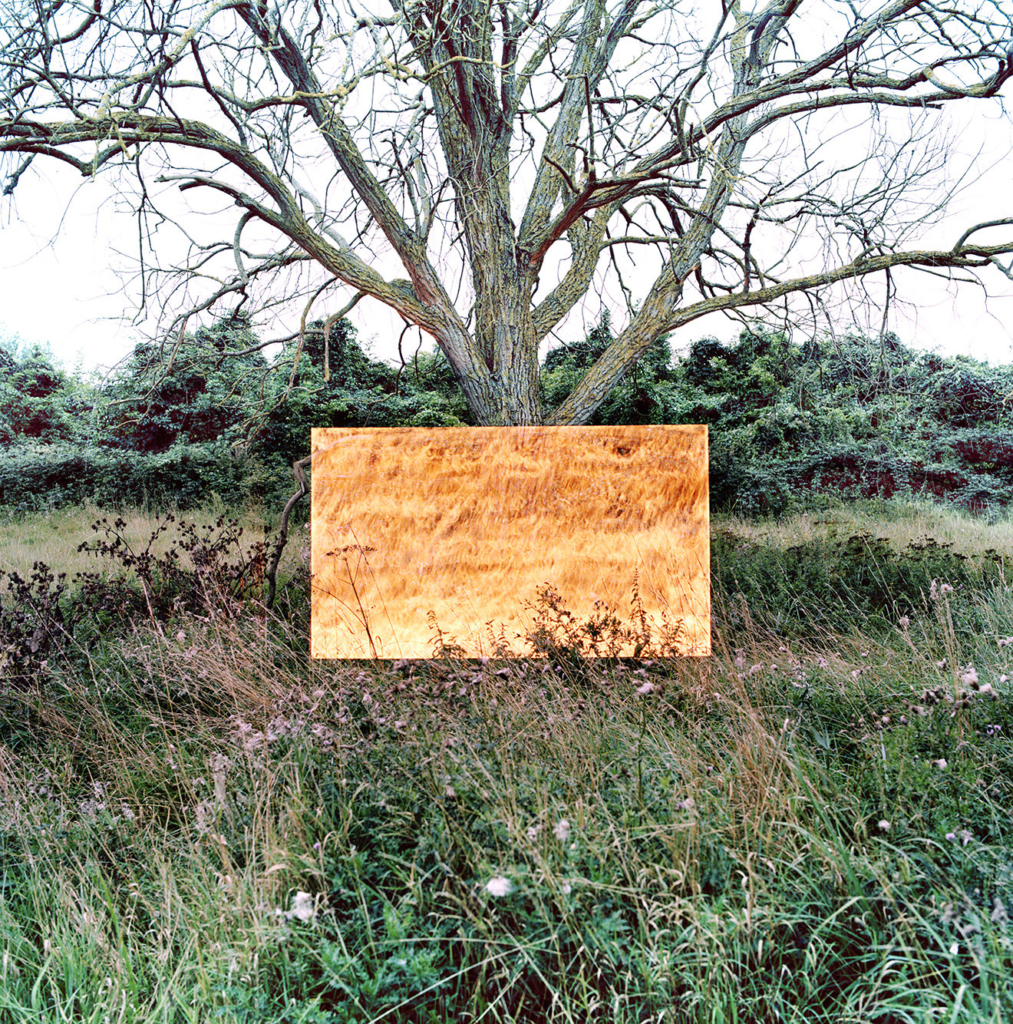 David Ledoux | Vision // Abstract - David Ledoux