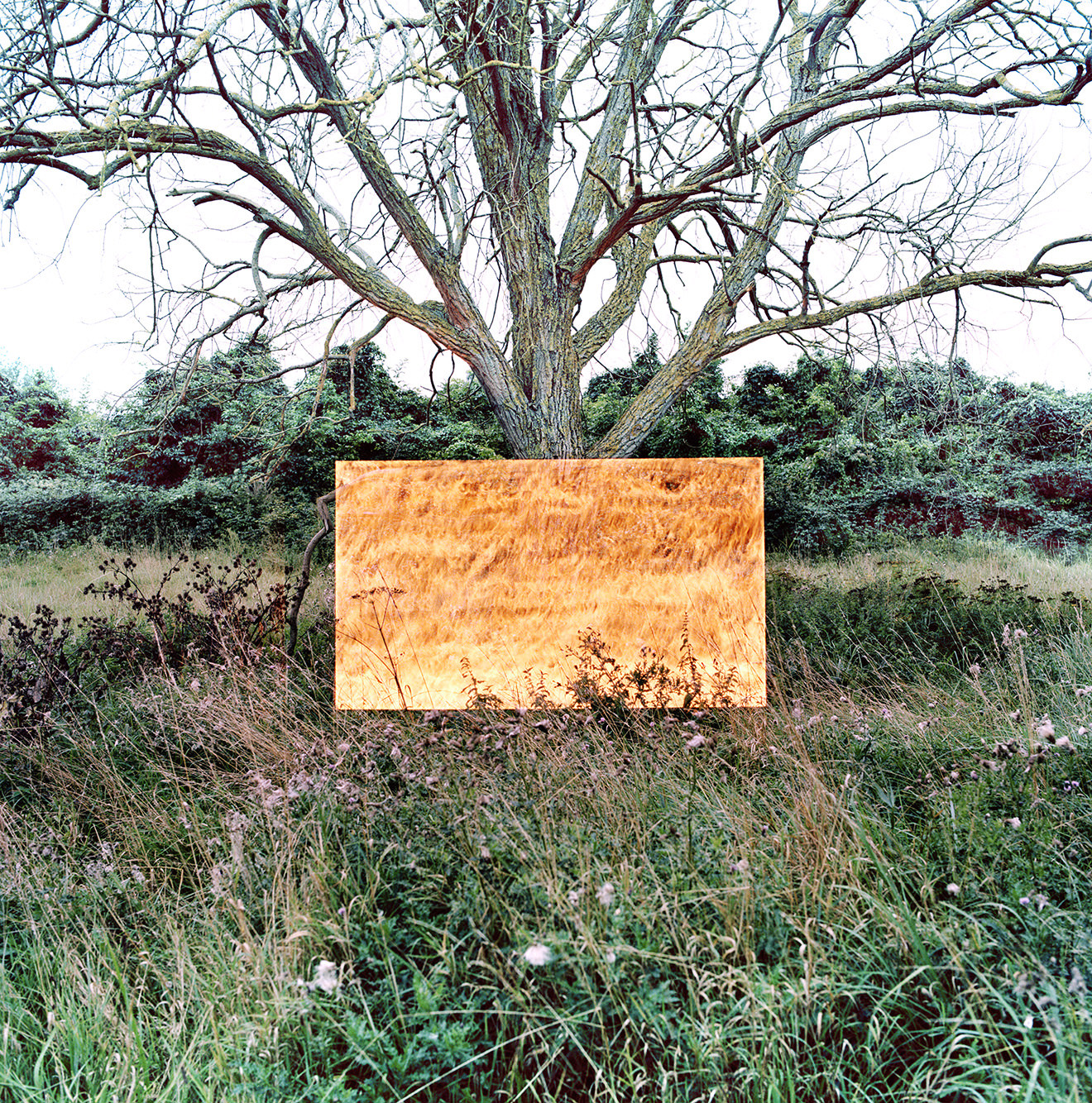 David Ledoux | Vision // Abstract - David Ledoux