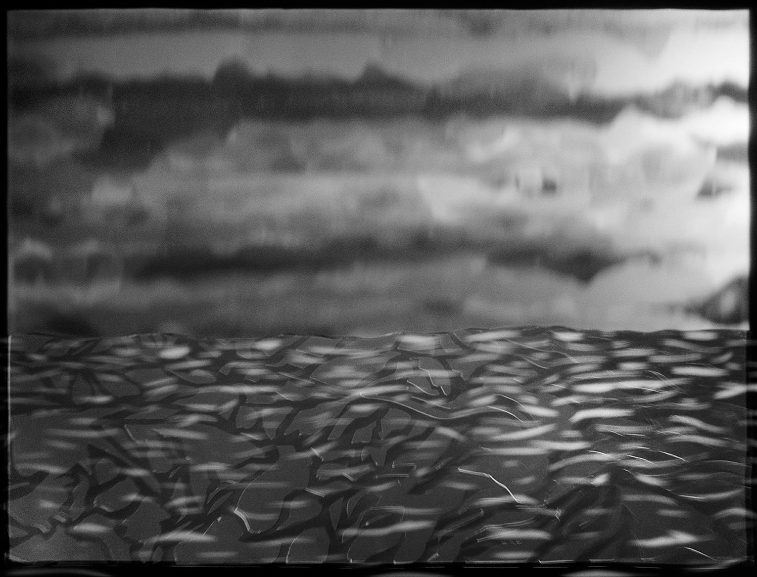 David Ledoux | Vision // Abstract - David Ledoux